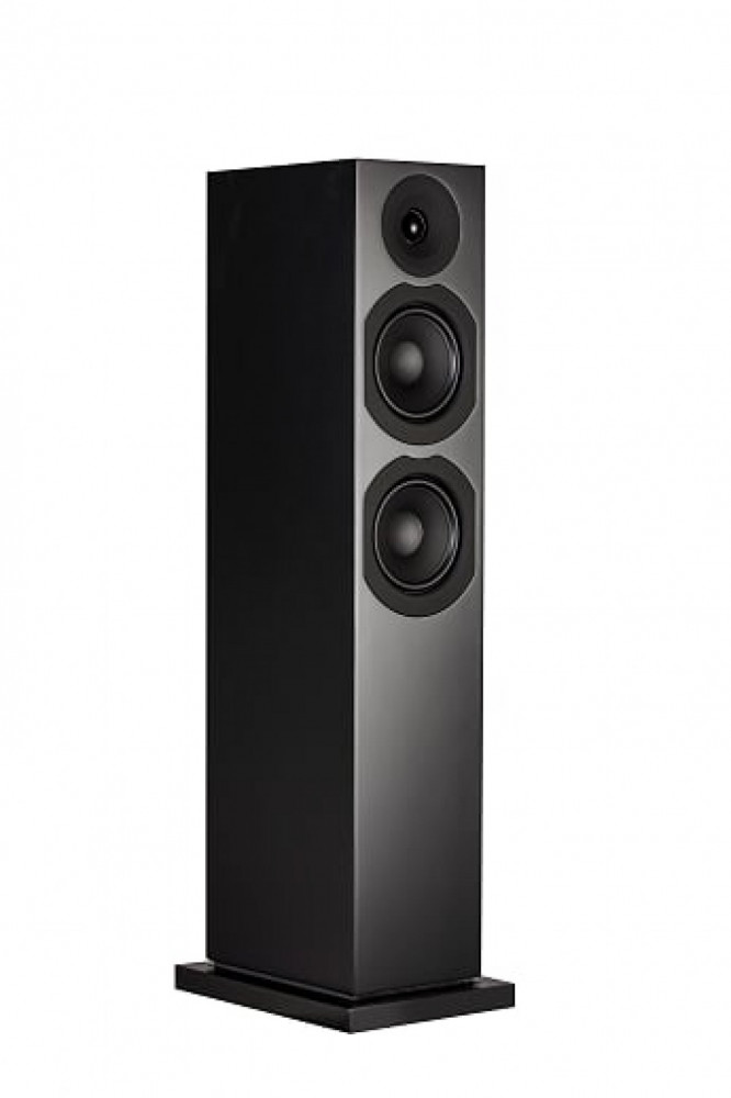SYSTEM AUDIO Saxo 40 - Reptil Audio