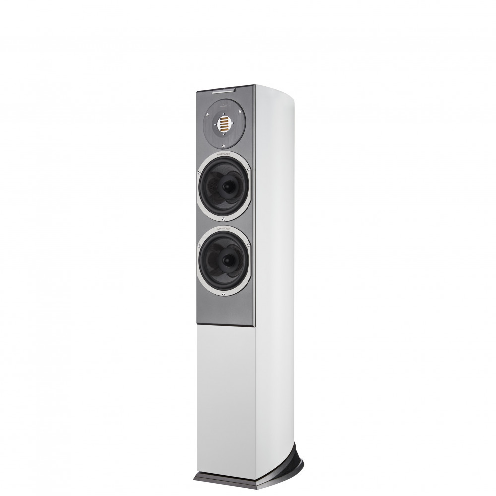 AUDIOVECTOR R3 Arreté - Reptil Audio