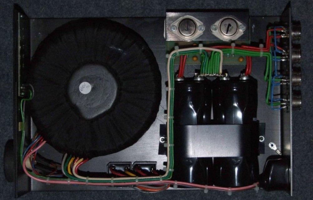 NAIM HiCap DR - Reptil Audio