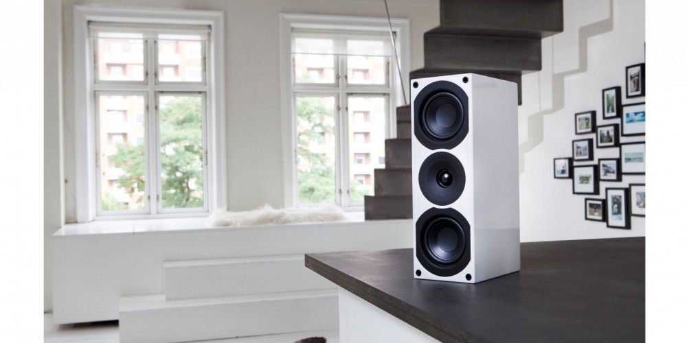 SYSTEM AUDIO Saxo 10 - Reptil Audio